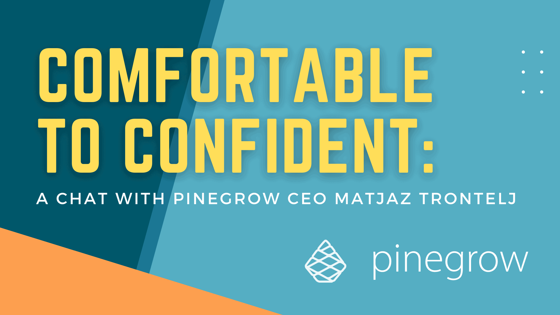 Comfortable to Confident: A Chat with Pinegrow CEO Matjaz Trontelj - Peak Performance Digital